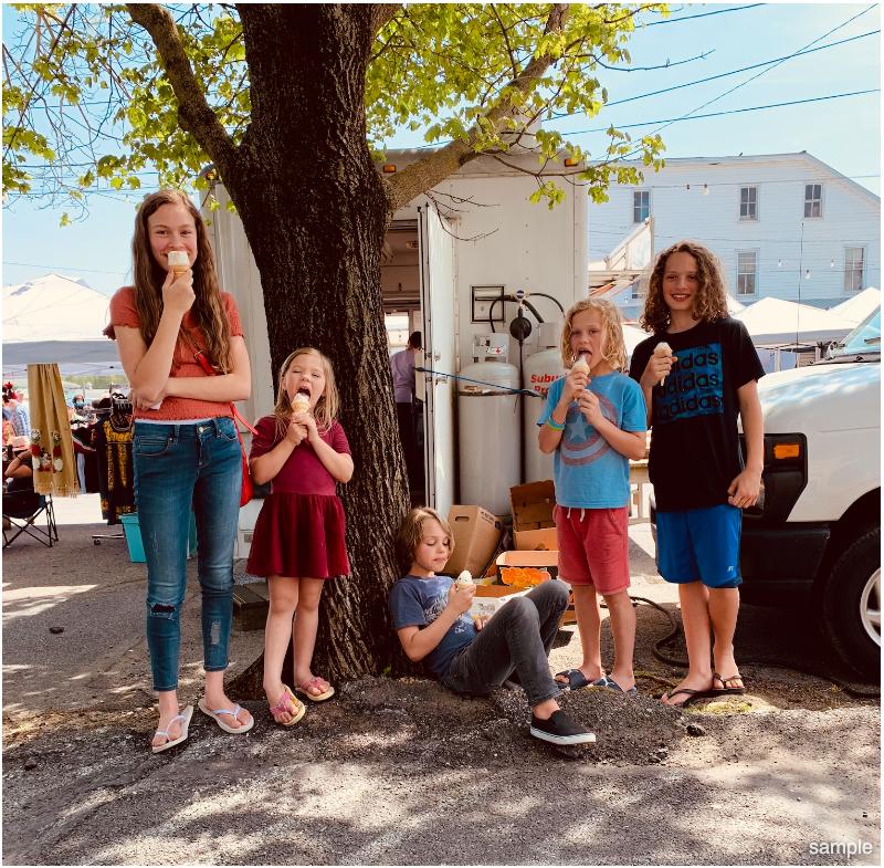 About - A Thousand Stars | Book by Lillian E.